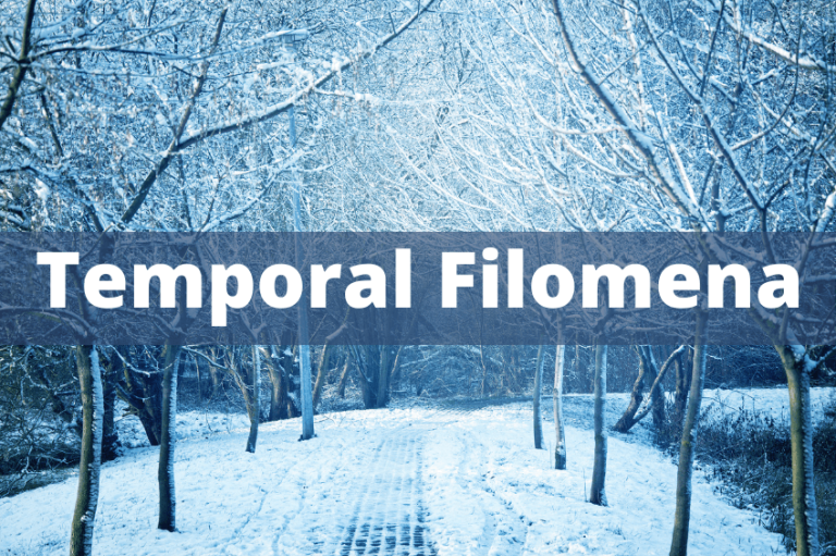 Temporal Filomena - Casos reales de siniestros y coberturas